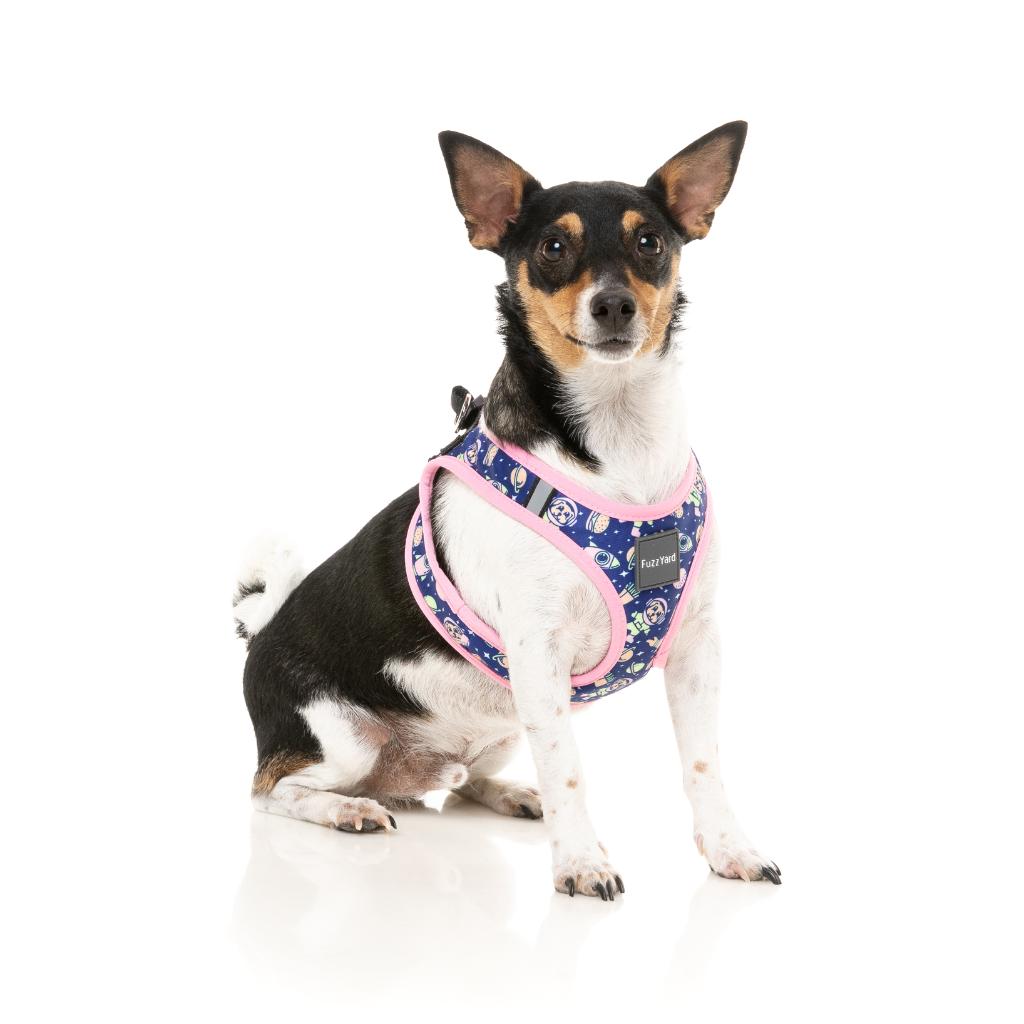 Step In PLUTO PUP Dog Harness – FuzzYard Europe