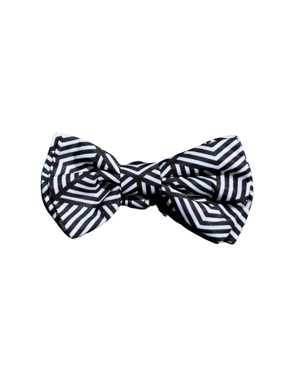 Best In Show Dog and Cat Bow Tie - FuzzYard Europe